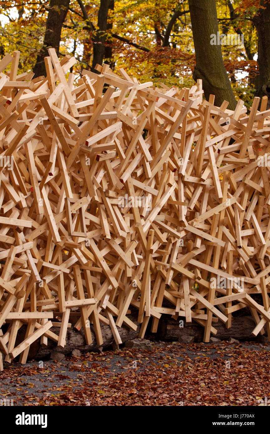 wood wedge natural preserve wedges forest leaf tree trees wood bridge ...