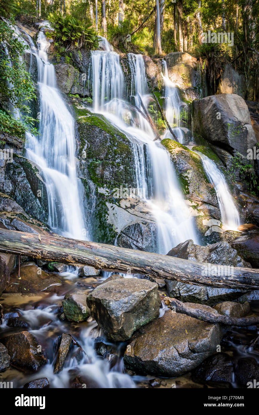 Finding a gem hi-res stock photography and images - Alamy