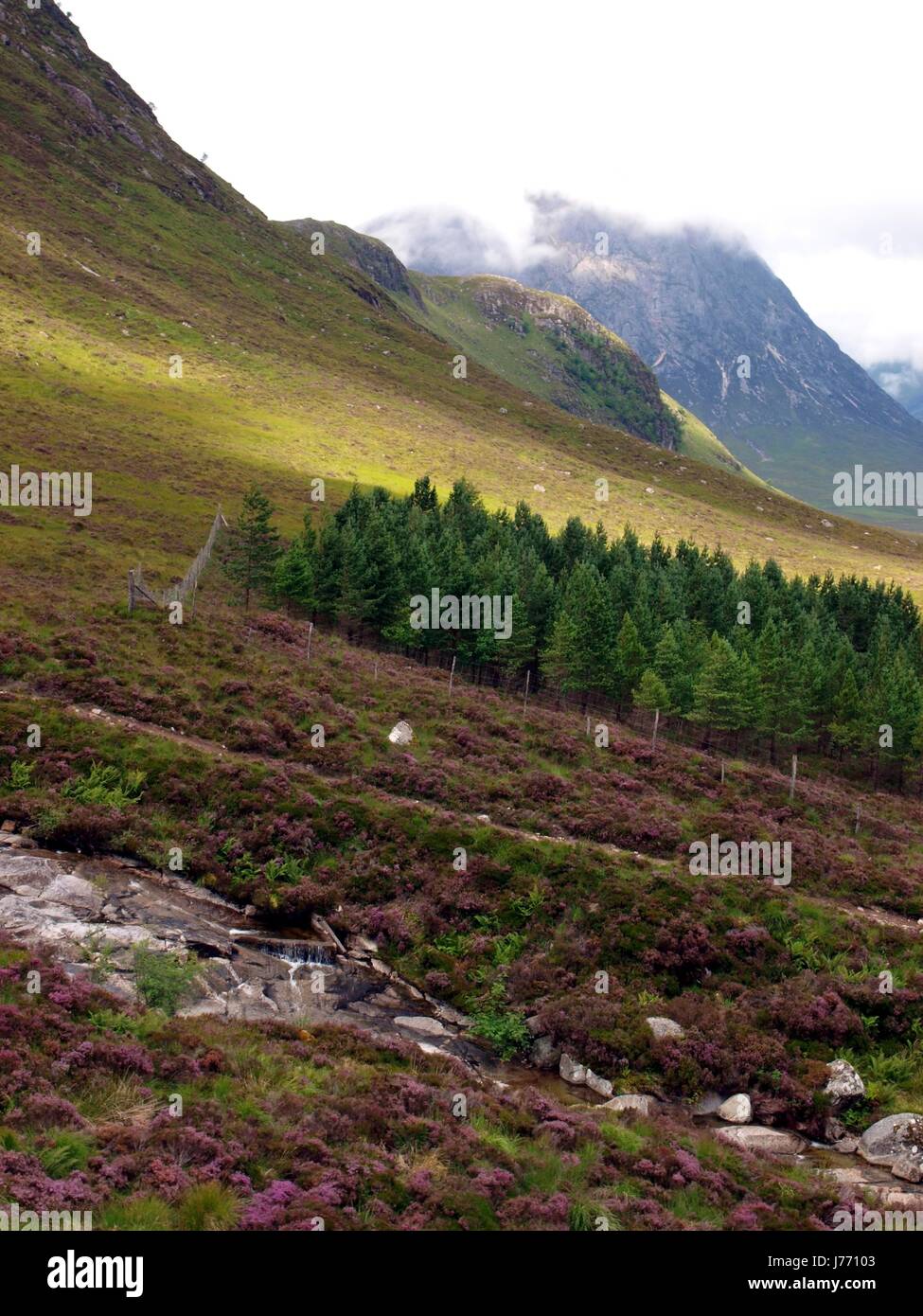 views of the scottish highlands Stock Photo - Alamy