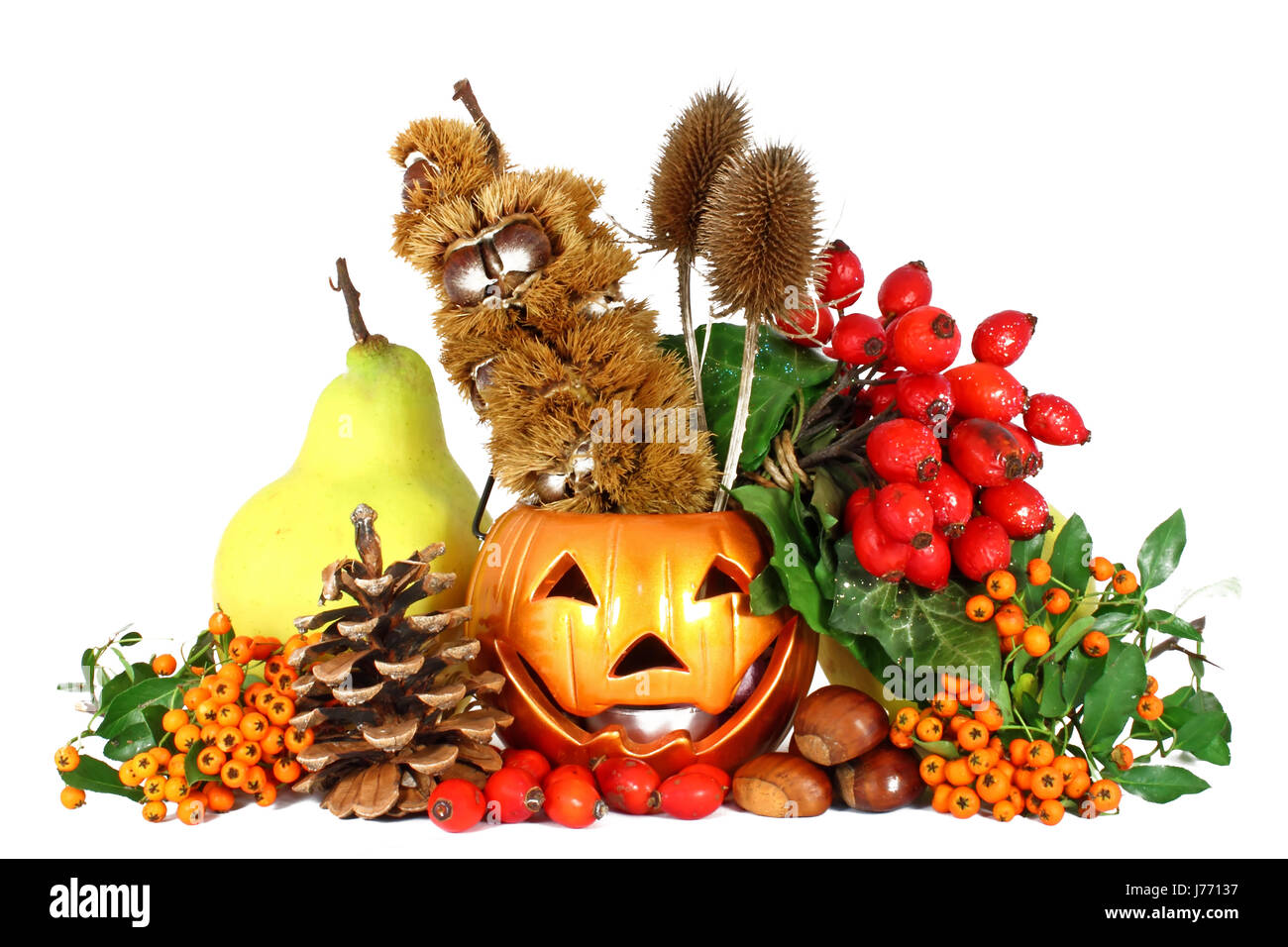 quince autumn chestnut colorful fruit hawthorn hip lantern quince ...