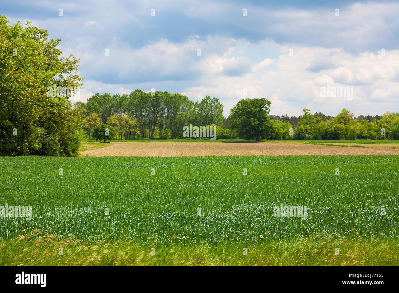 Landscape of a village, countryside scene during spring in Serbia Stock ...