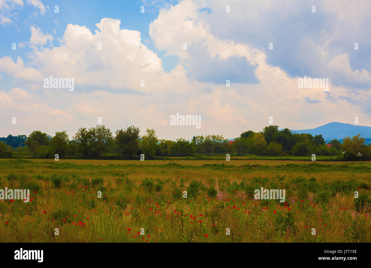 Landscape of a village, countryside scene during spring in Serbia Stock ...