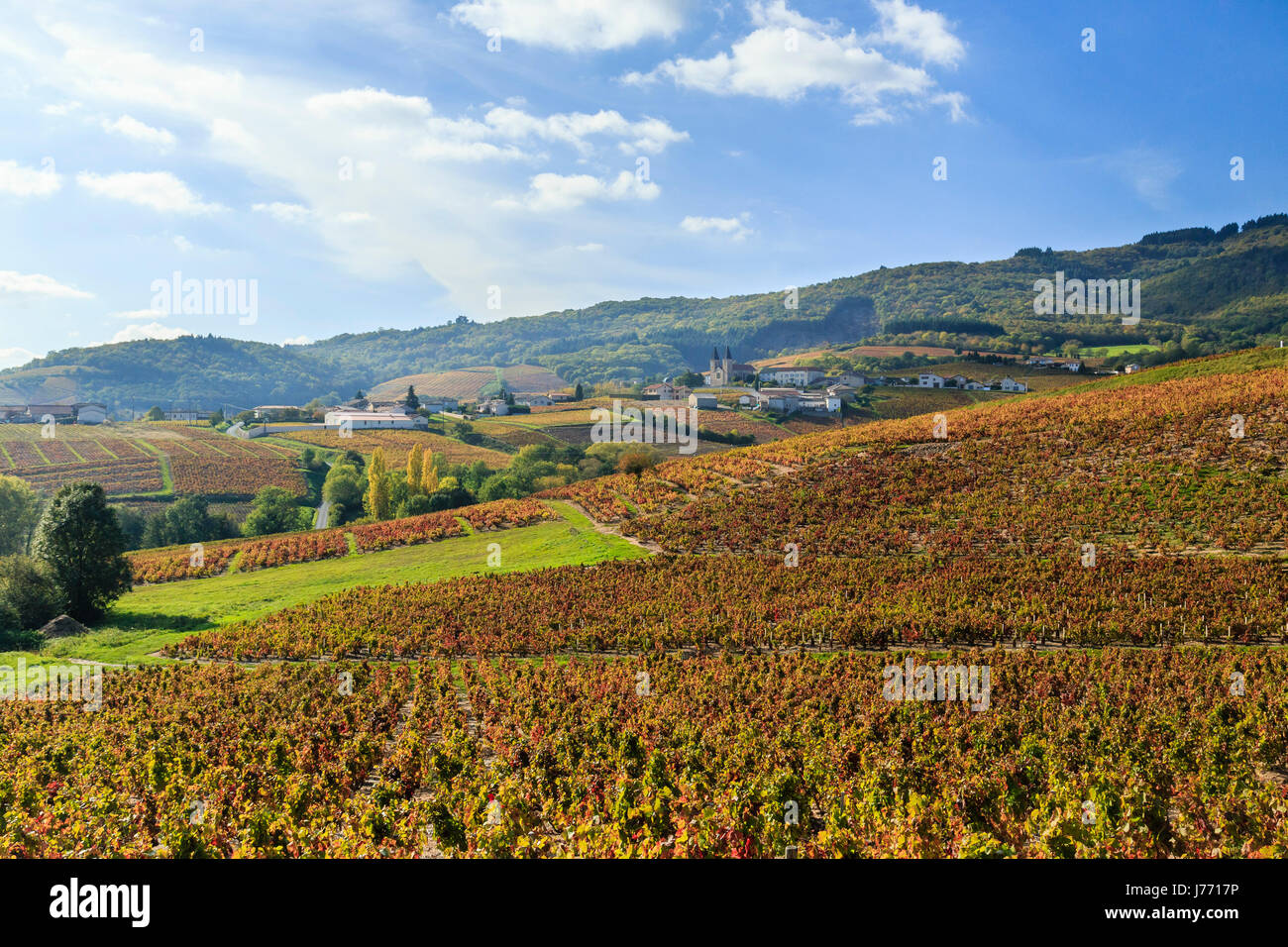 Villie hi-res stock photography and images - Alamy