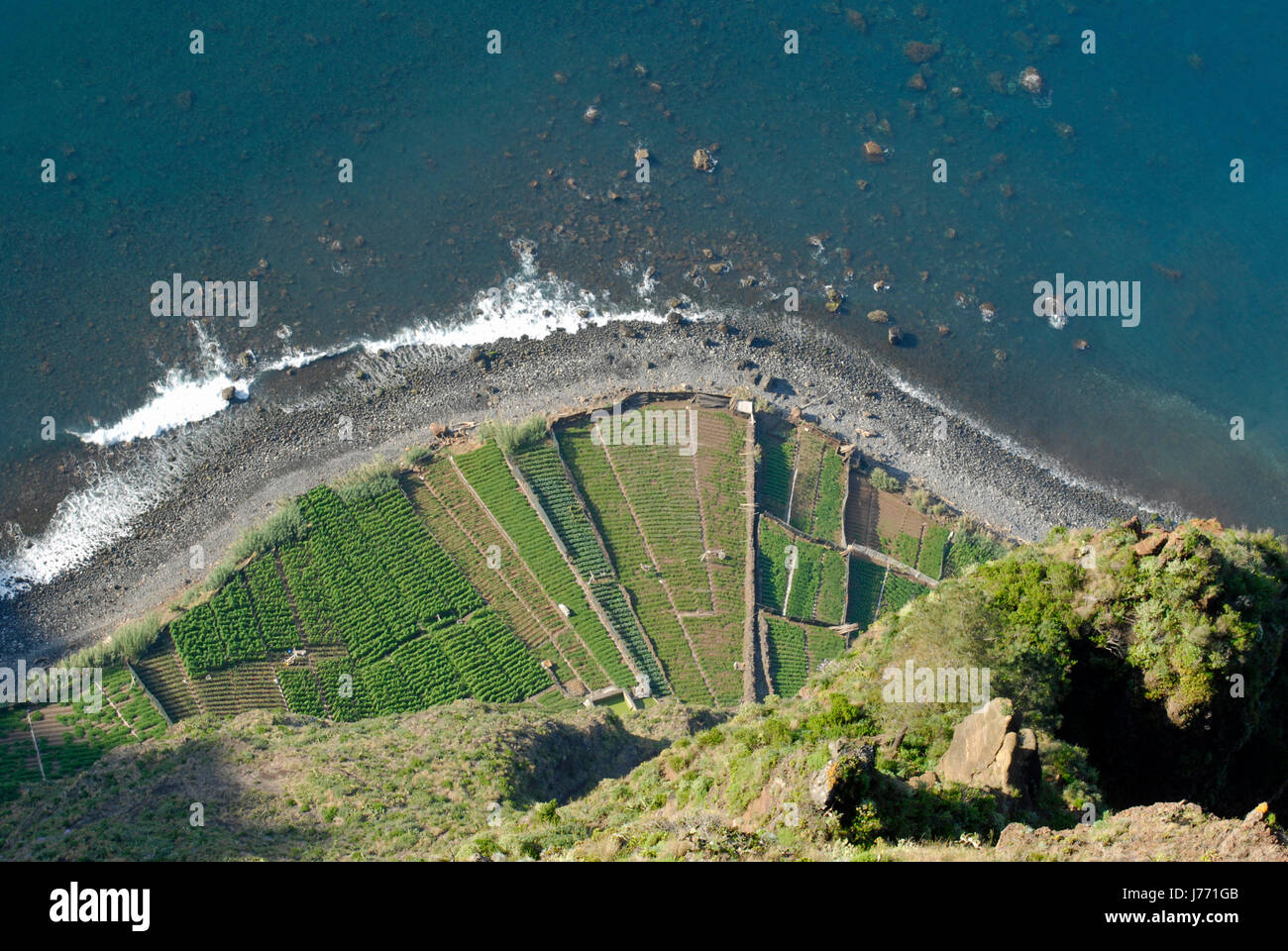 agriculture farming atlantic ocean salt water sea ocean water coast ...