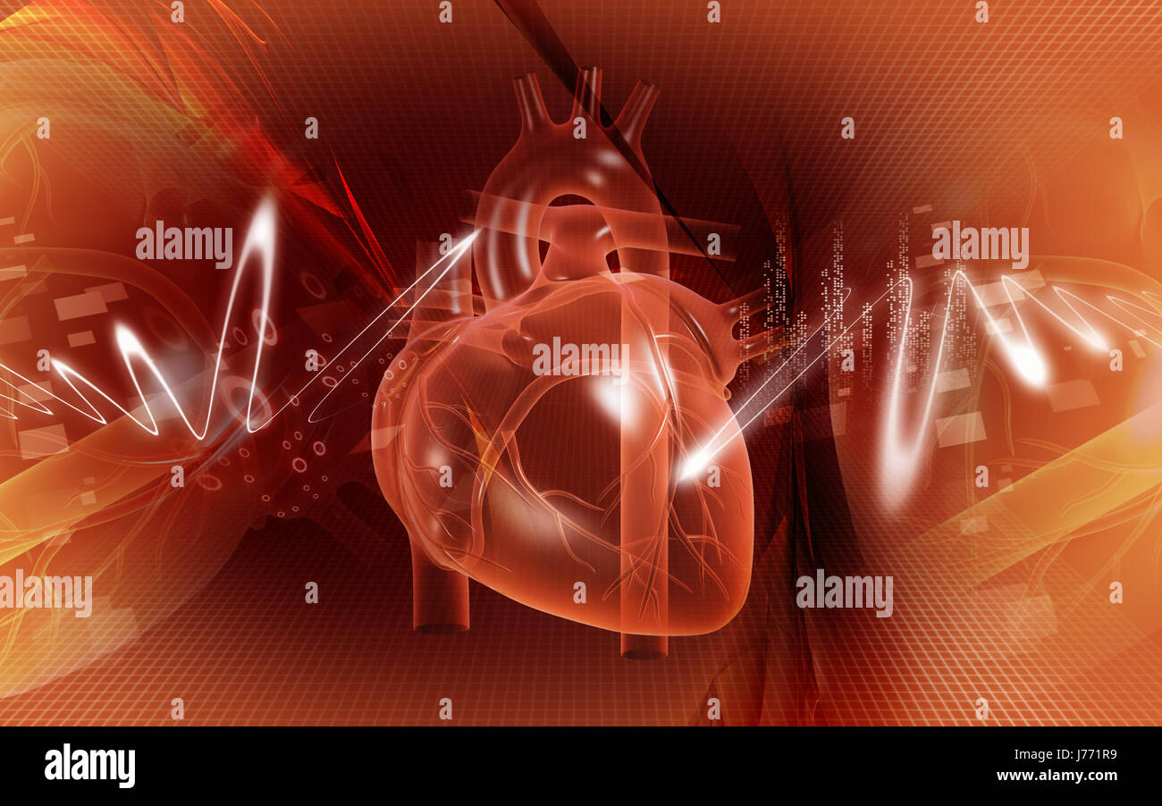 education health medicinally medical circulation graphics colour ...