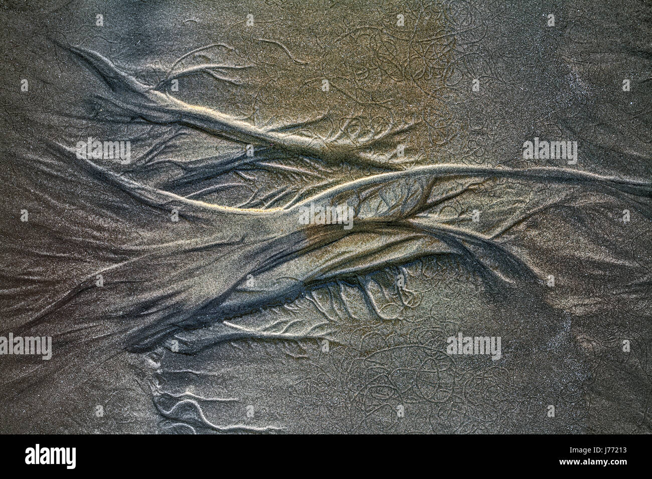 Texture of wet sea sand with traces of water macro Stock Photo - Alamy