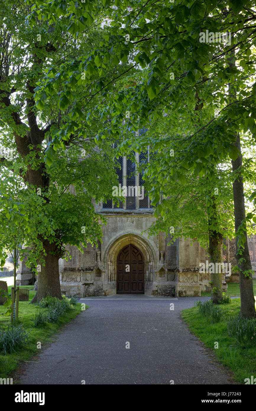 Picture shows: The Church of St Peter and St Paul at Swaffham, Norfolk ...