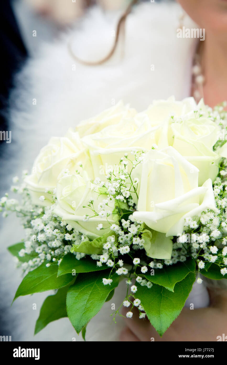 flower plant wedding marriage marriage ceremony wedding ceremony life ...