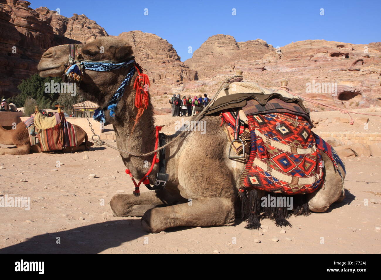Libya and jordan hi-res stock photography and images - Alamy