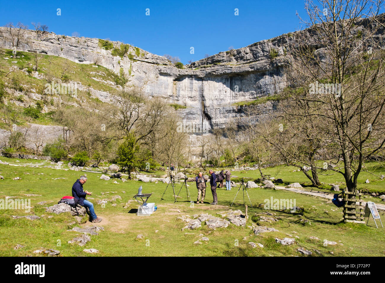 People at Peregrine Falcon nest site viewing point during nesting ...