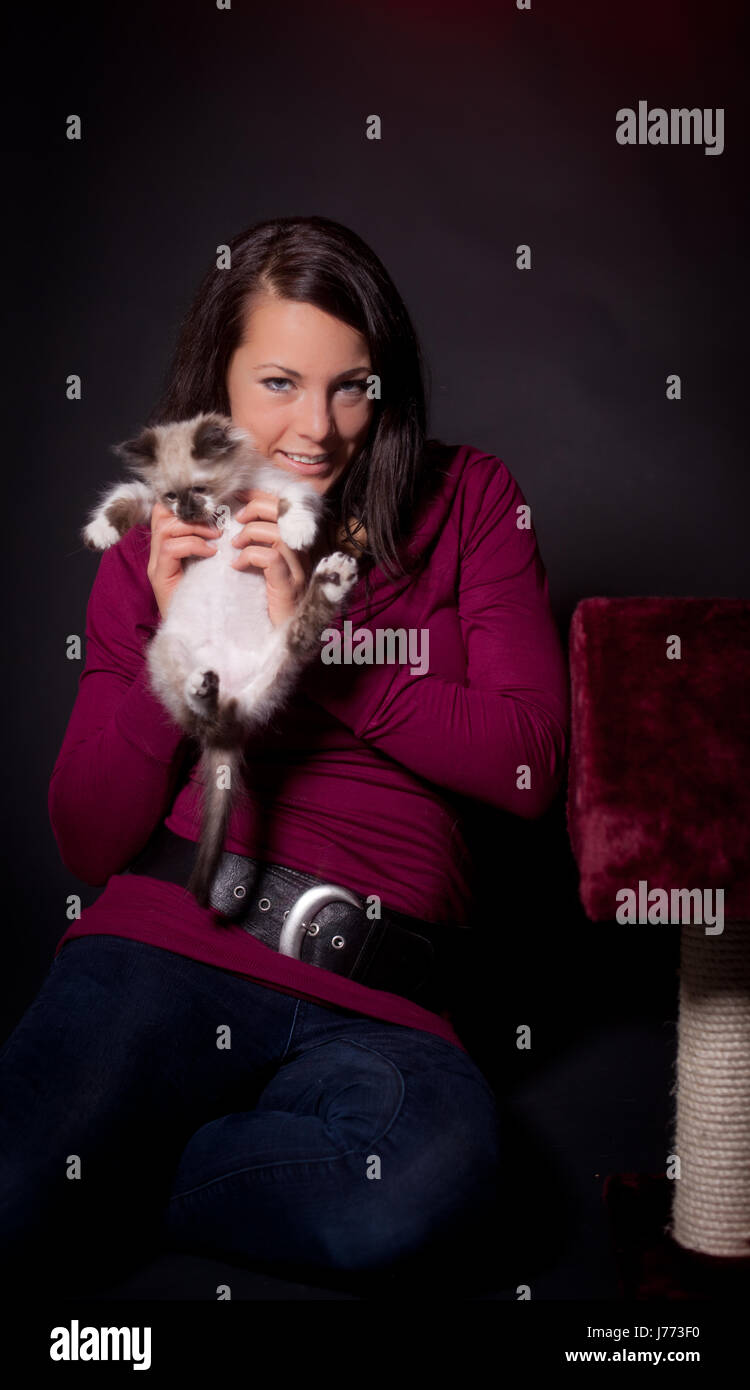 woman with kitten Stock Photo - Alamy
