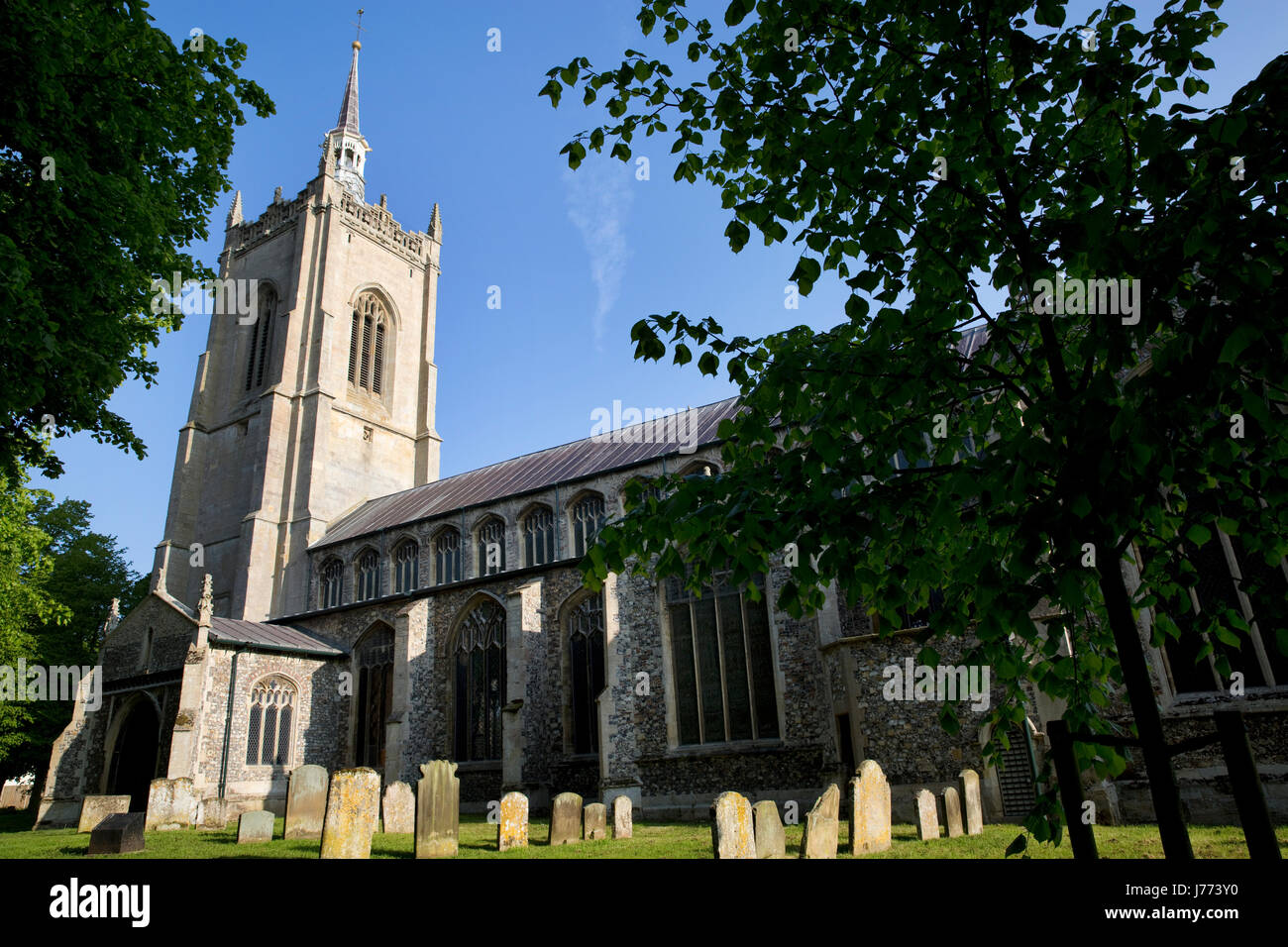 Picture shows: The Church of St Peter and St Paul at Swaffham, Norfolk ...