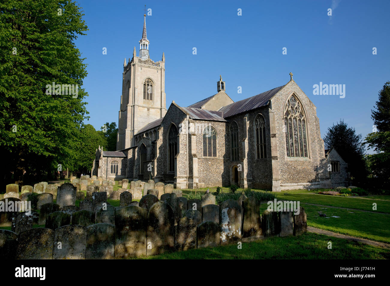 Picture shows: The Church of St Peter and St Paul at Swaffham, Norfolk ...