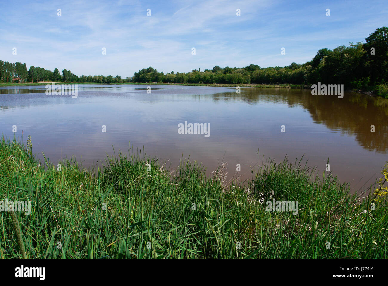 General views of ponds in the Dombes region (South-Eastern France Stock ...