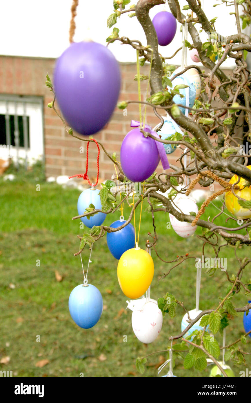 detail tree easter bush hang egg eggs Easter eggs blue shine shines ...