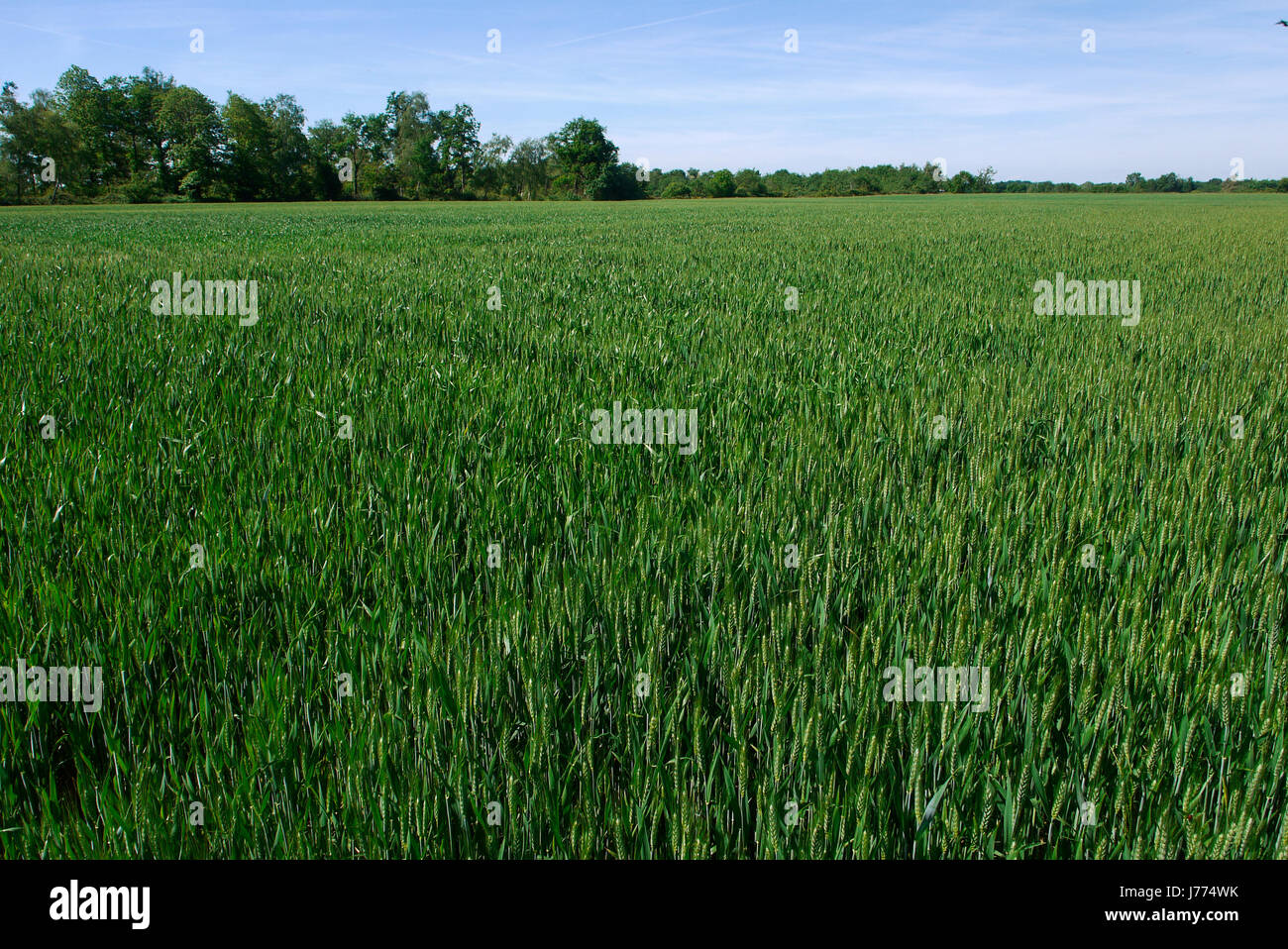 Dombes region hi-res stock photography and images - Alamy