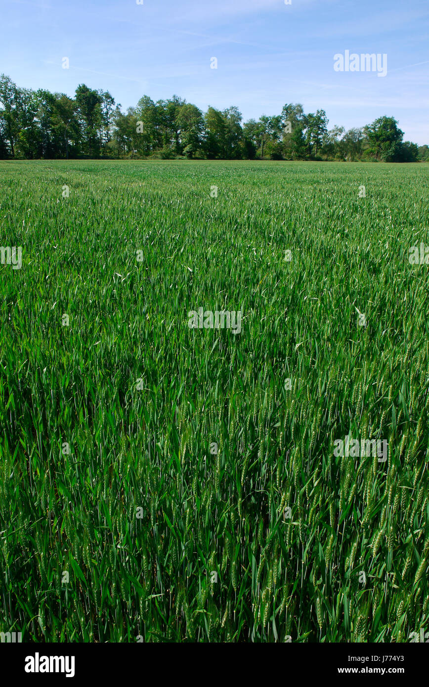 Dombes region hi-res stock photography and images - Alamy