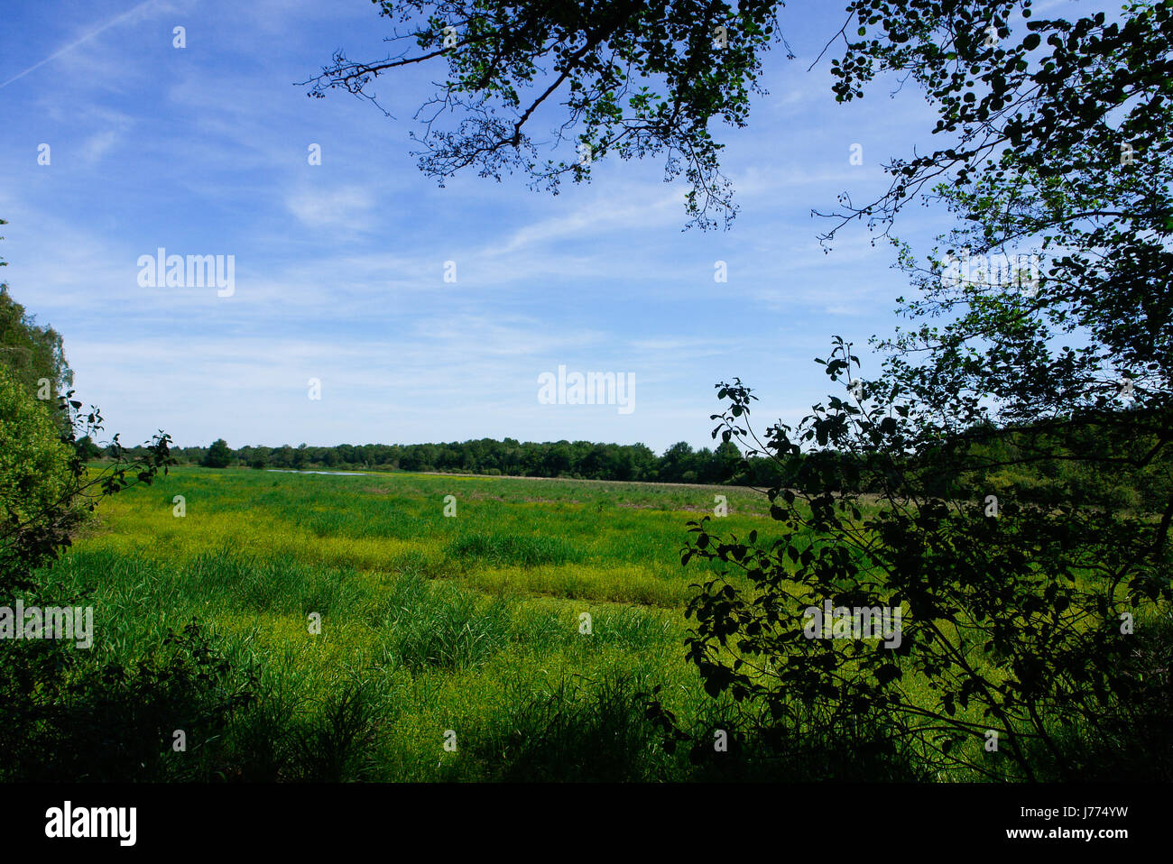 Dombes region hi-res stock photography and images - Alamy