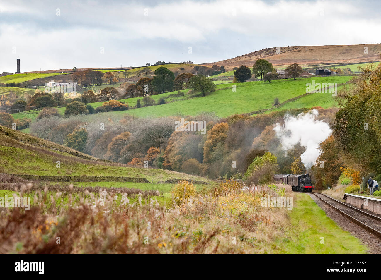 A steam locomotive train at Irwell Vale halt. ELR Stock Photo - Alamy