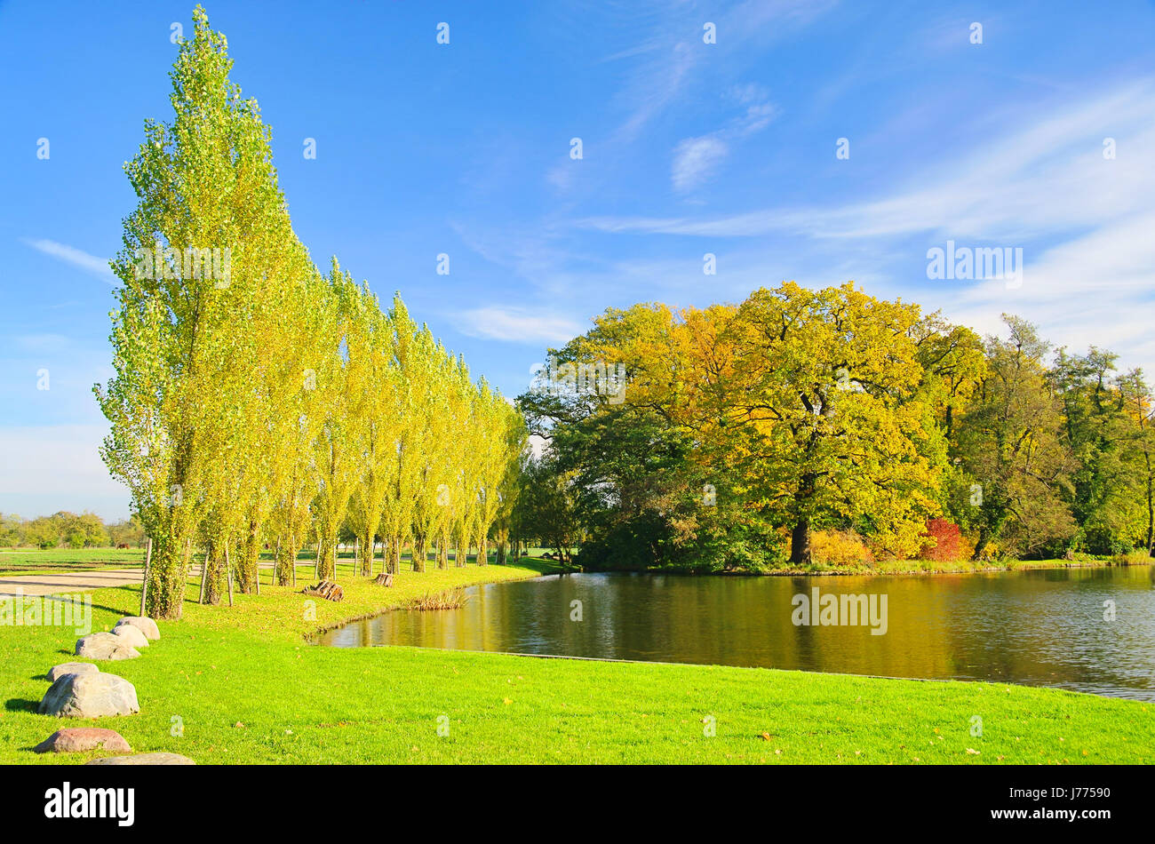 tree park blue leaf tree trees park garden leaves coloured colourful ...
