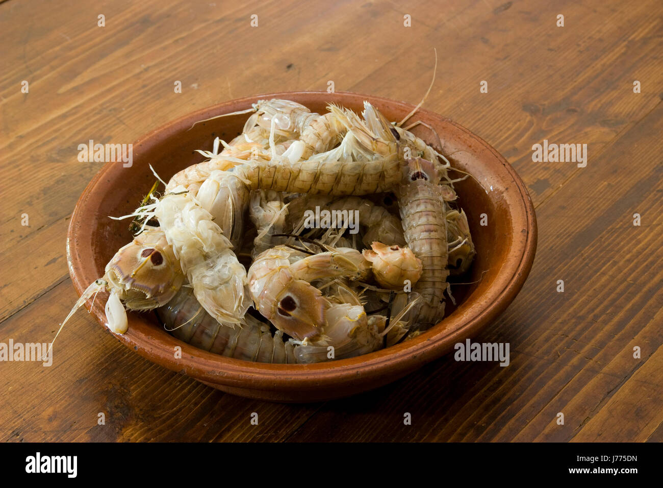 Cicada dishes hi-res stock photography and images - Alamy