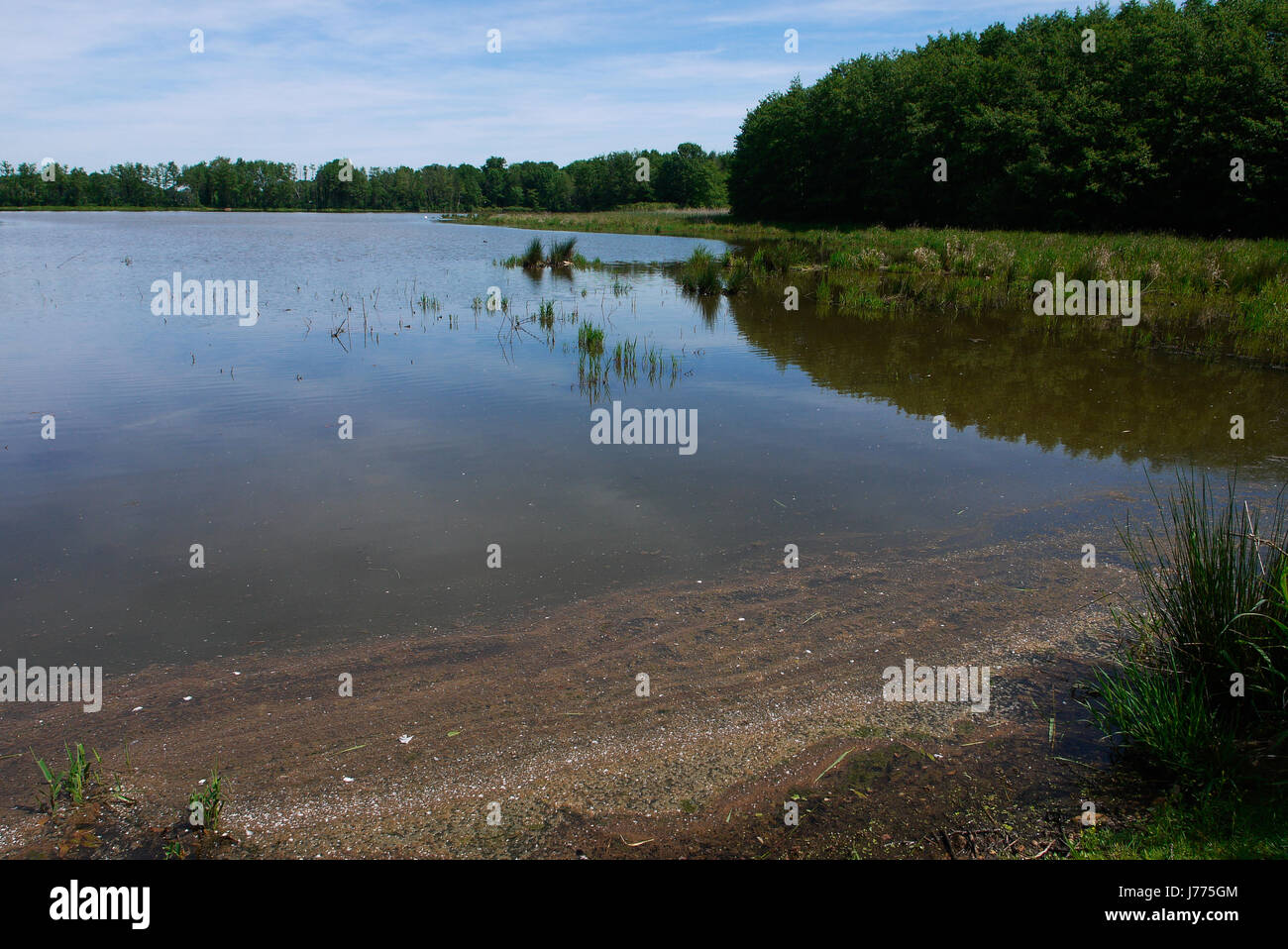 General views of ponds in the Dombes region (South-Eastern France Stock ...