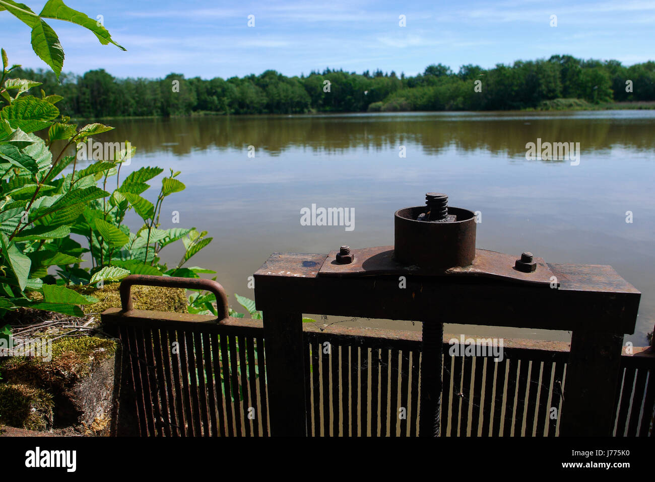General views of ponds in the Dombes region (South-Eastern France Stock ...