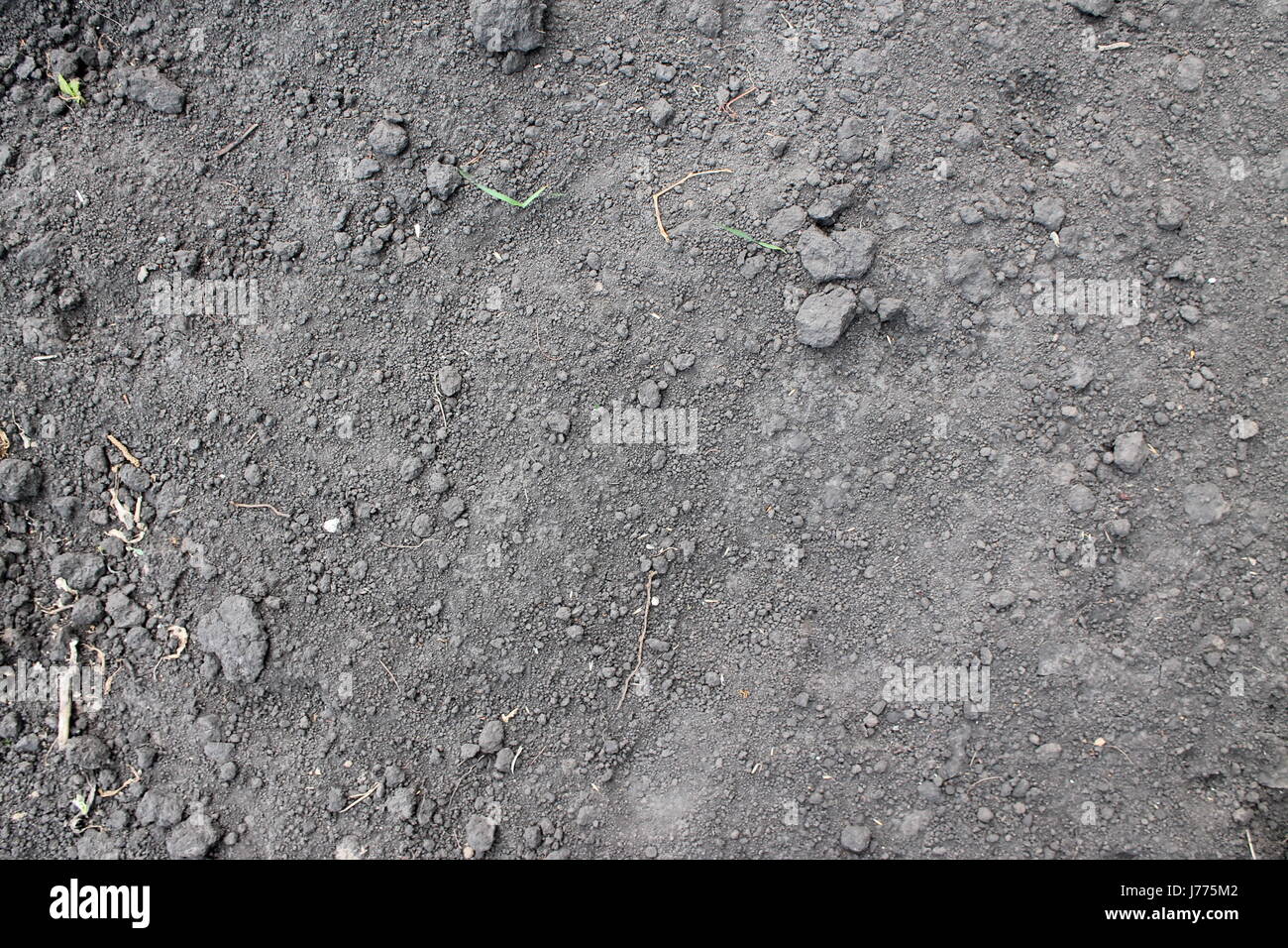 Texture of the earth. Nature background Stock Photo - Alamy