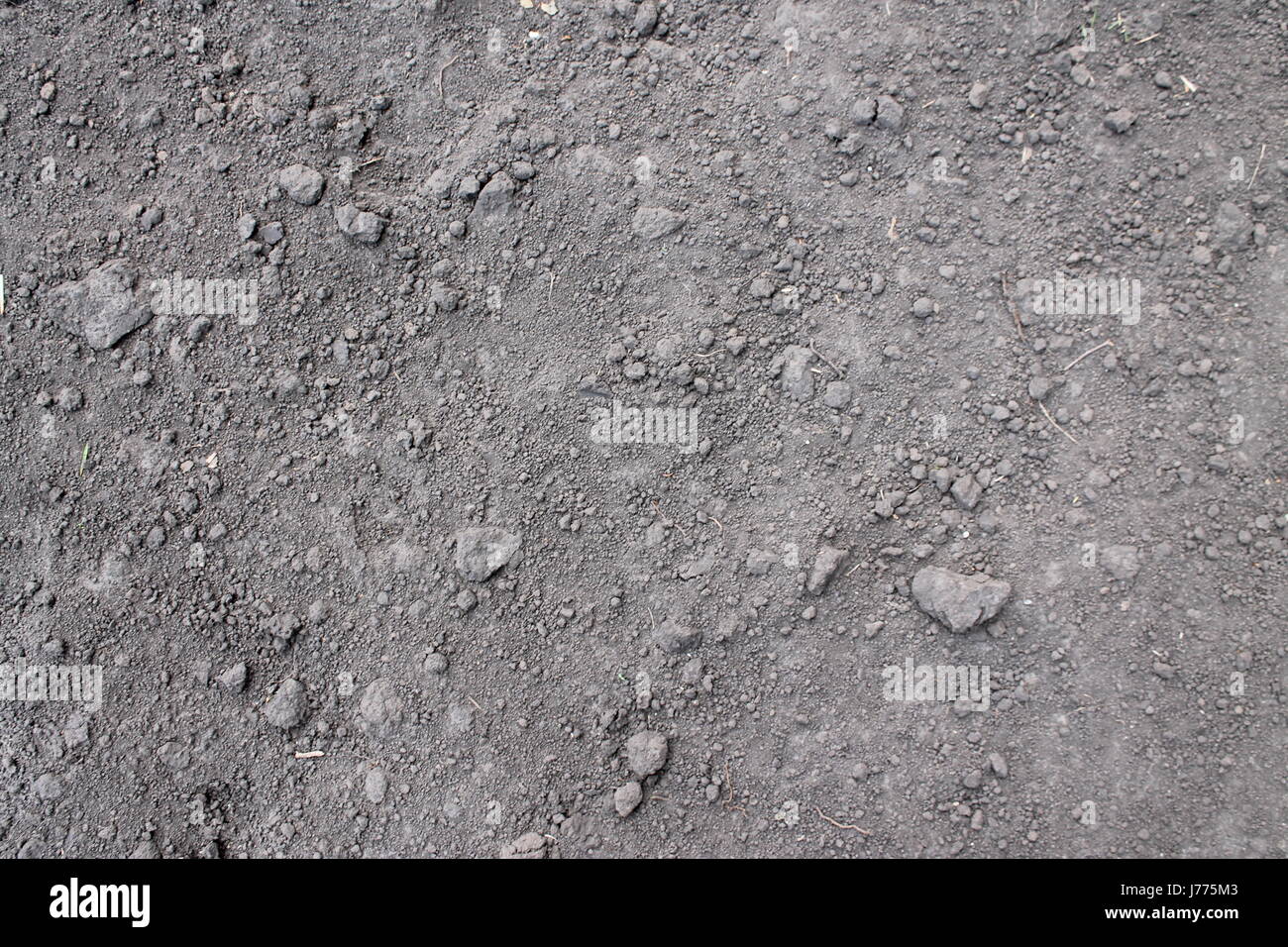 Texture of the earth. Nature background Stock Photo - Alamy