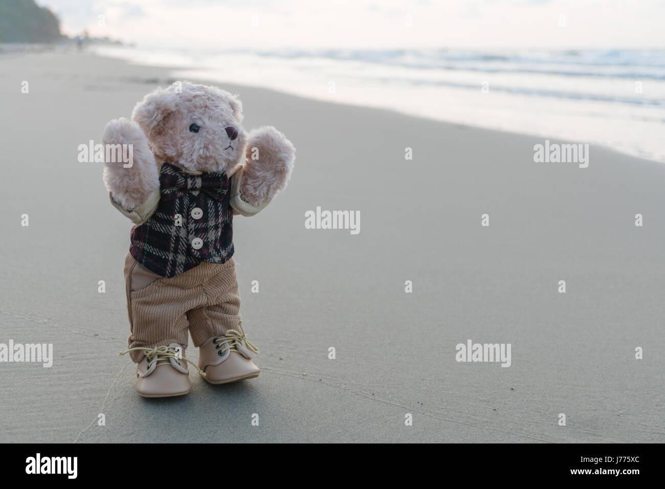 Teddy bear standing on the beach Stock Photo - Alamy