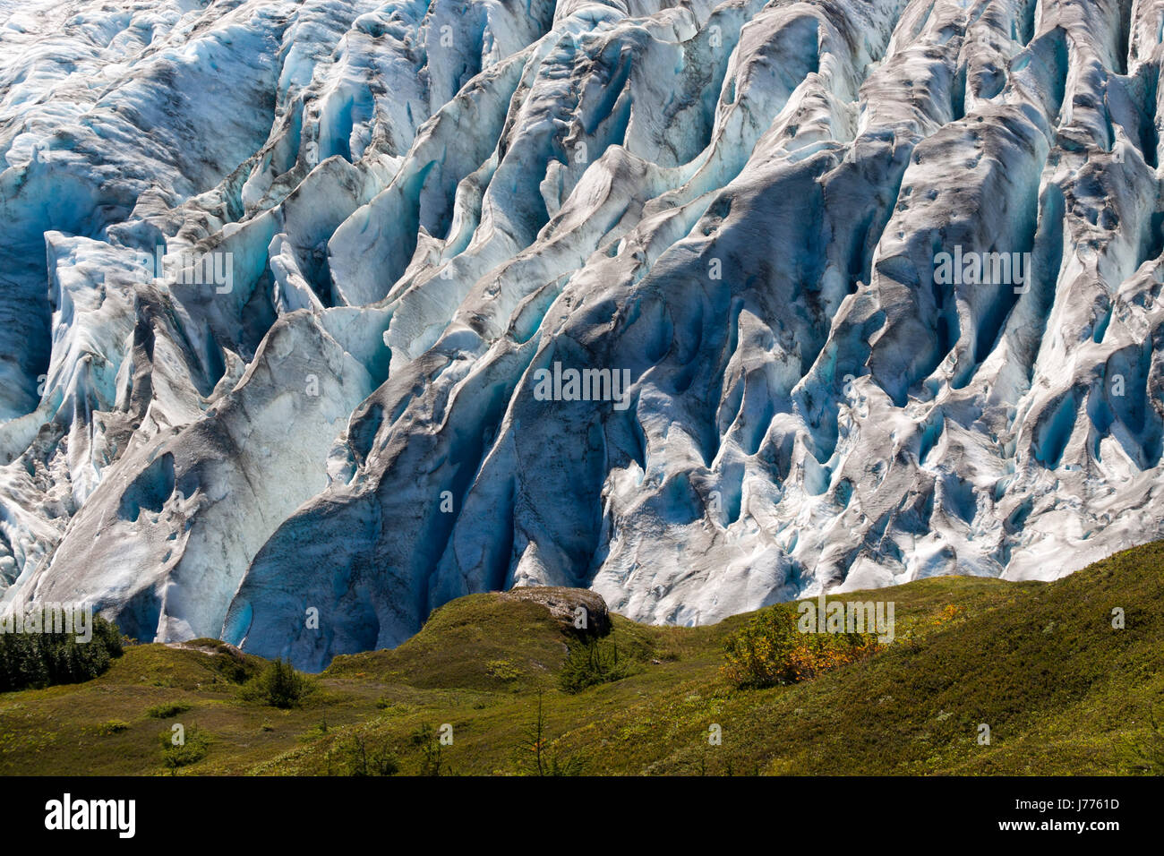 mountains plant rock ice glacier crevasses snow meadow grass lawn green ...
