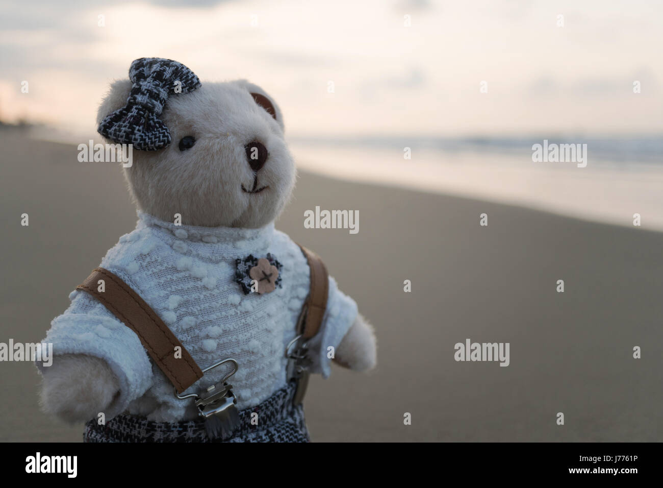 Teddy bear standing on the beach Stock Photo - Alamy
