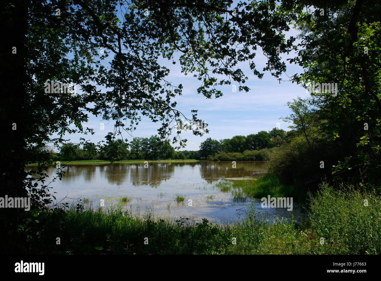 General views of ponds in the Dombes region (South-Eastern France Stock ...