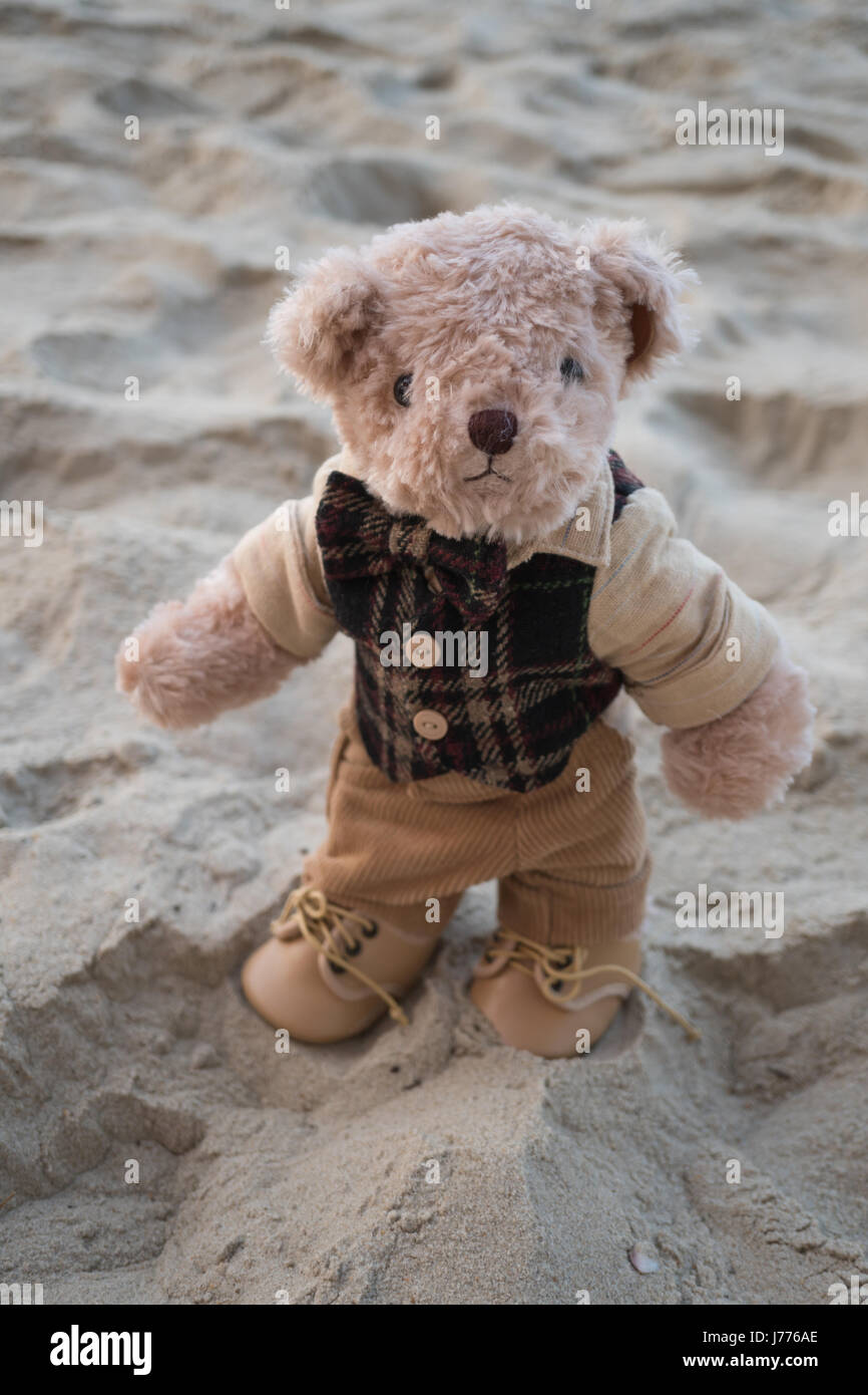 Teddy bear beach hi-res stock photography and images - Alamy