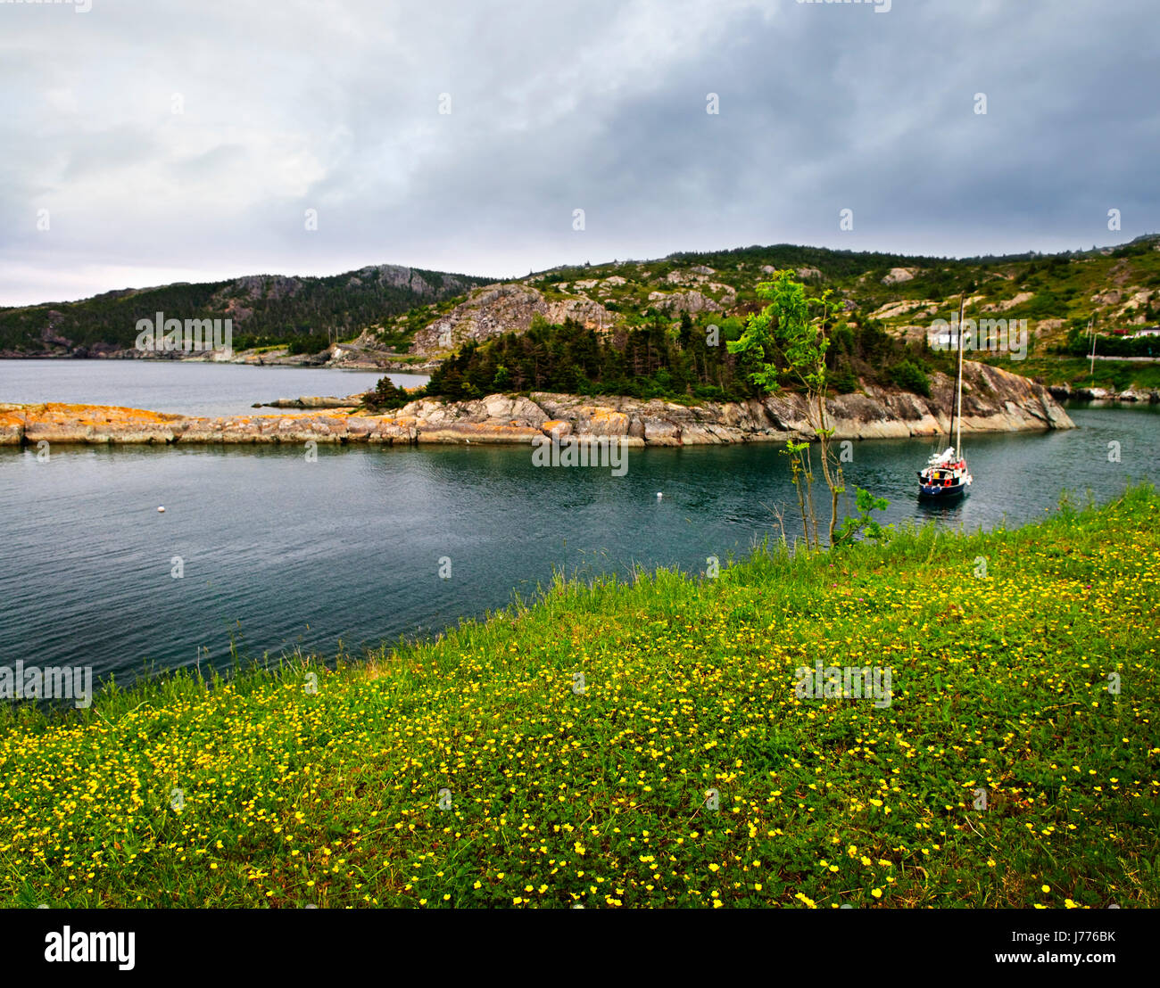canada coast salt water sea ocean water shore travel wild rock cloudy ...