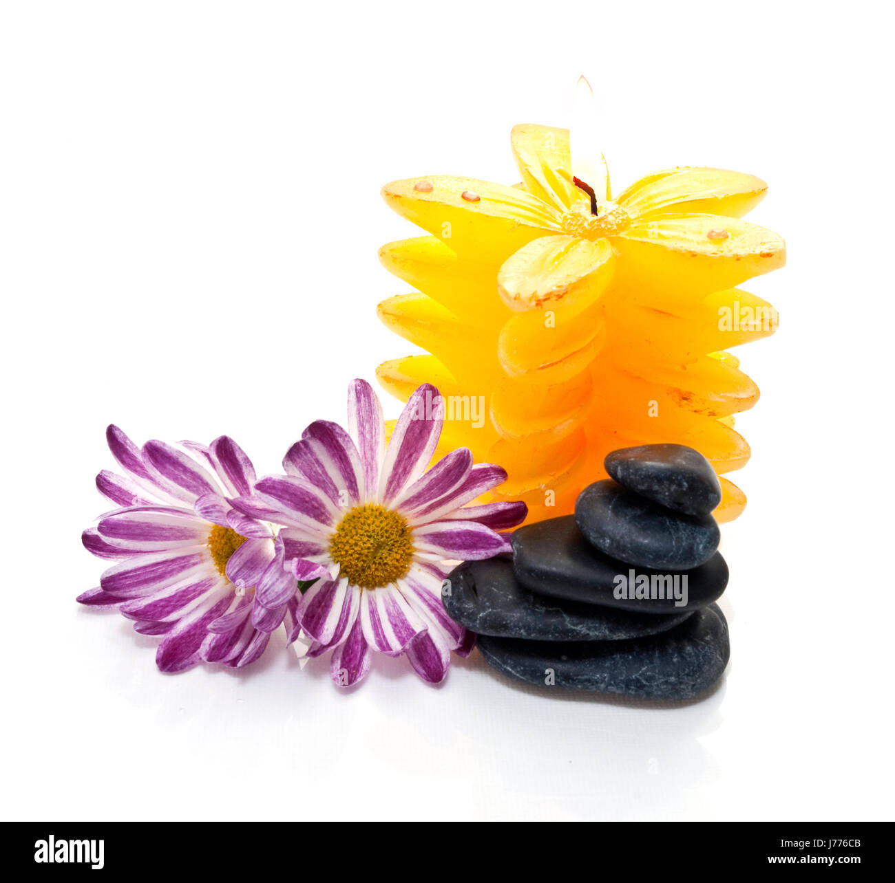 salt flower flowers plant perfume ecology candles spa mineral spring ...