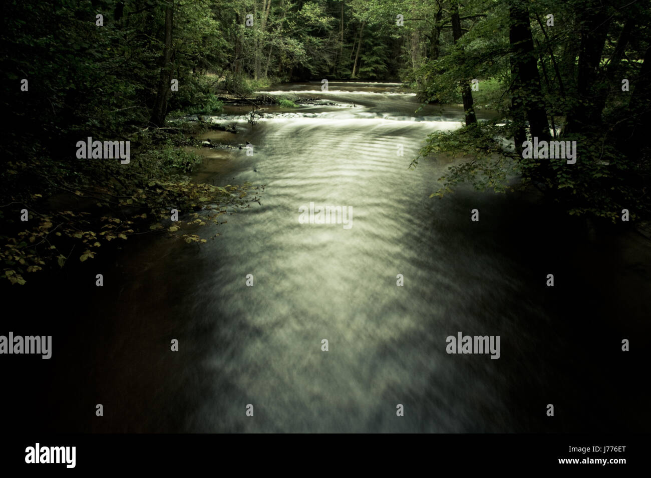 dark river in forest Stock Photo - Alamy