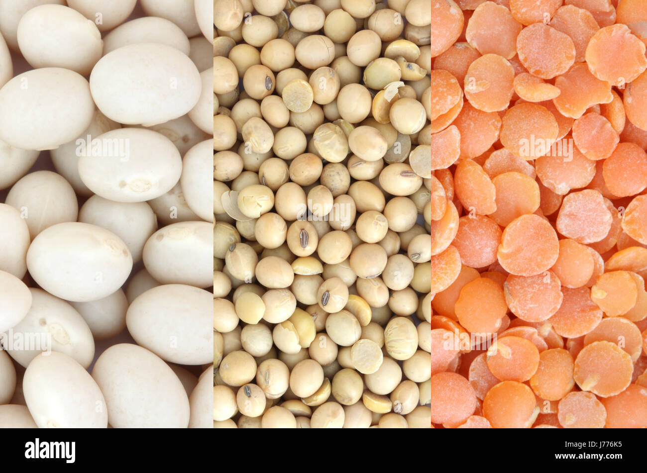 beans collage soy soya legume bean close some several a few food ...