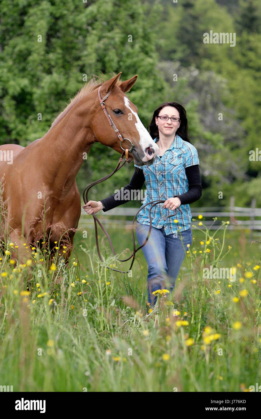 horse animal portrait human human being on the way walk go for a walk ...