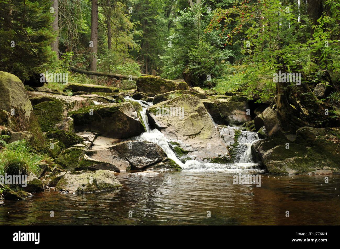 stream waterfall torrent current of the river nature tree trees flow ...