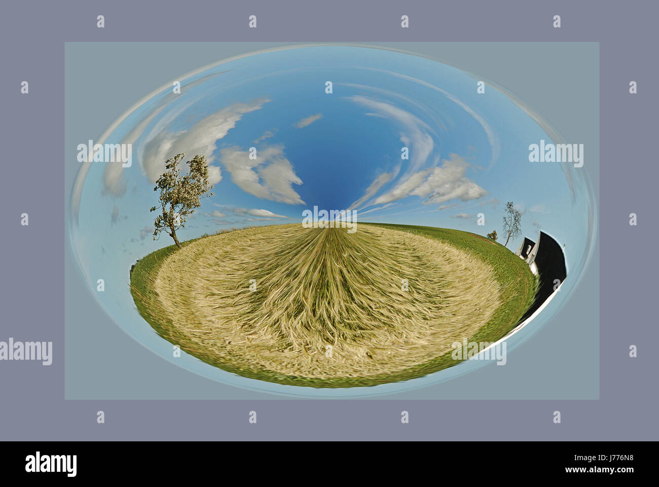 field globe planet earth world complete perfect meadow firmament sky ...