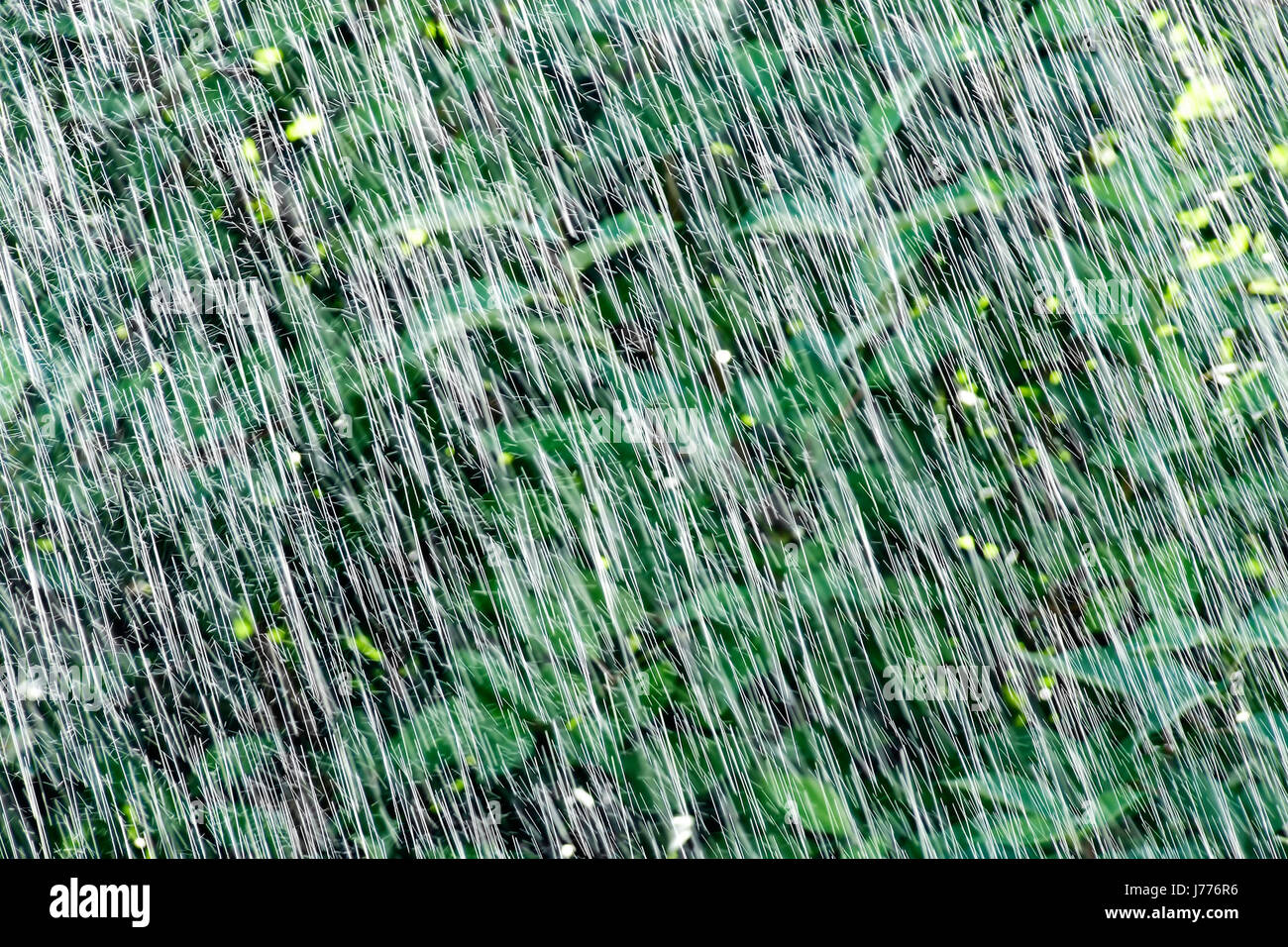 water rain raining raindrop thunder-storm wet moist shower rainy water ...