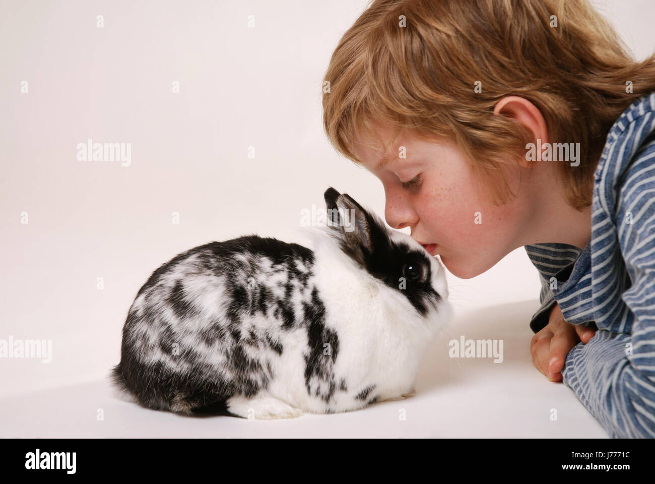 boy with rabbit Stock Photo - Alamy