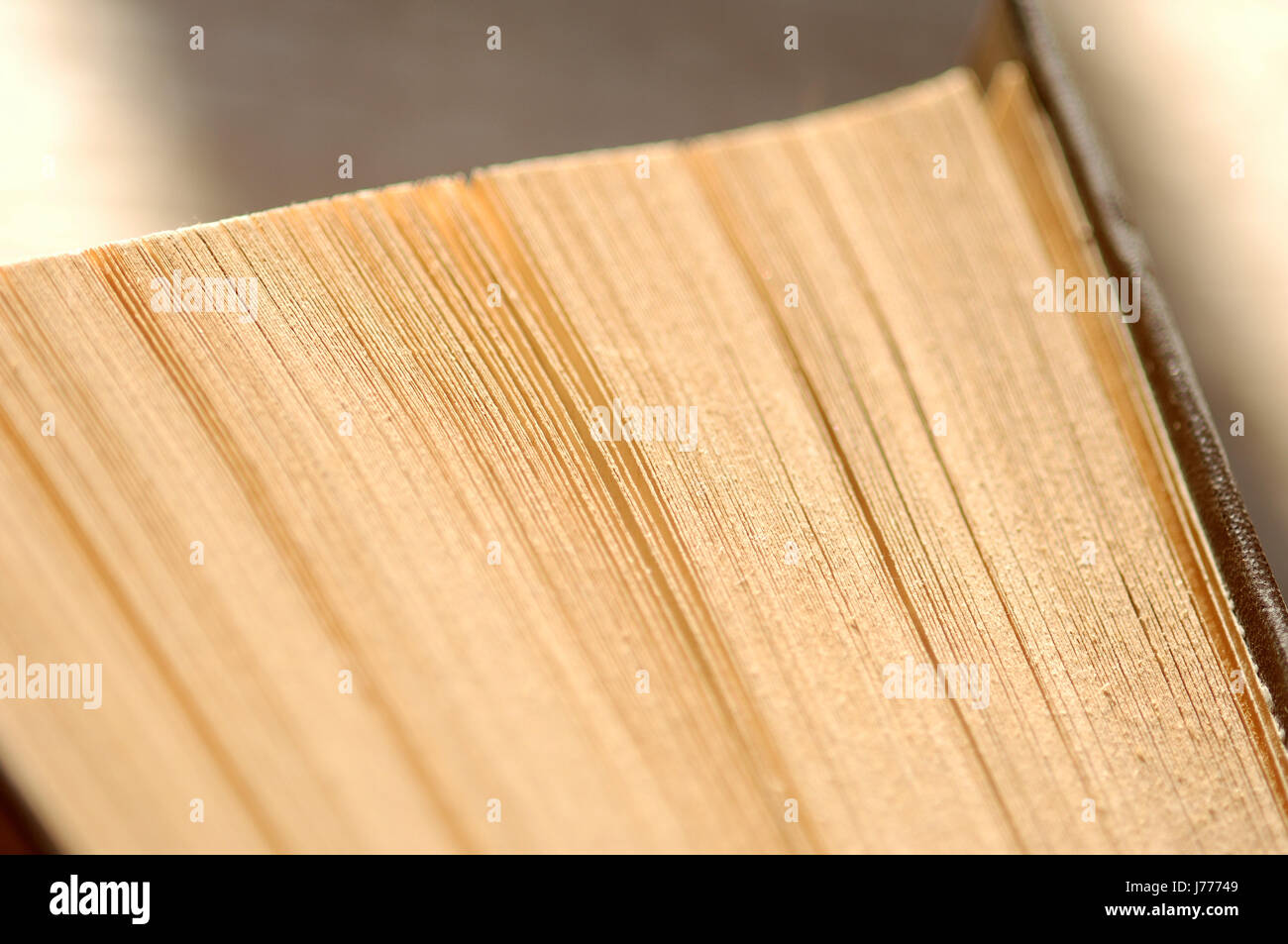 Lateral ridge hi-res stock photography and images - Alamy