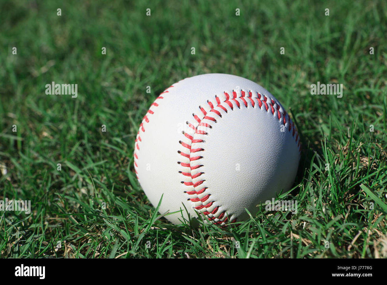 sport sports ball field baseball object sport sports game tournament ...