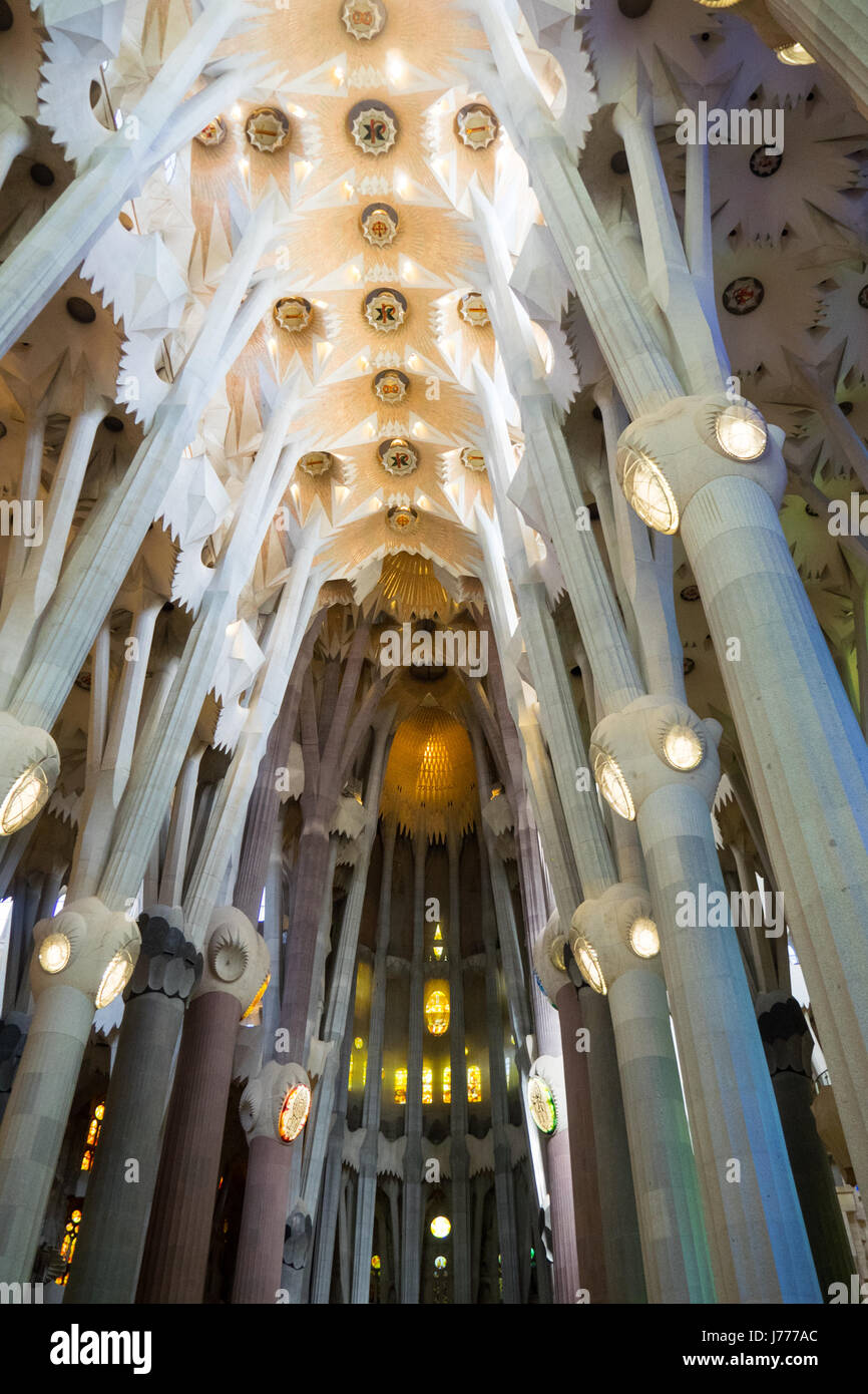 Elaborate and decorative tree like columns and ceiling in Gaudi's ...