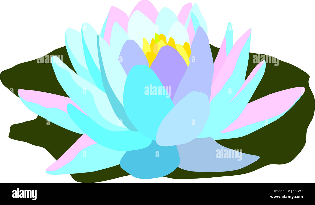 isolated colour graphic illustration paint draw conspicuous ...