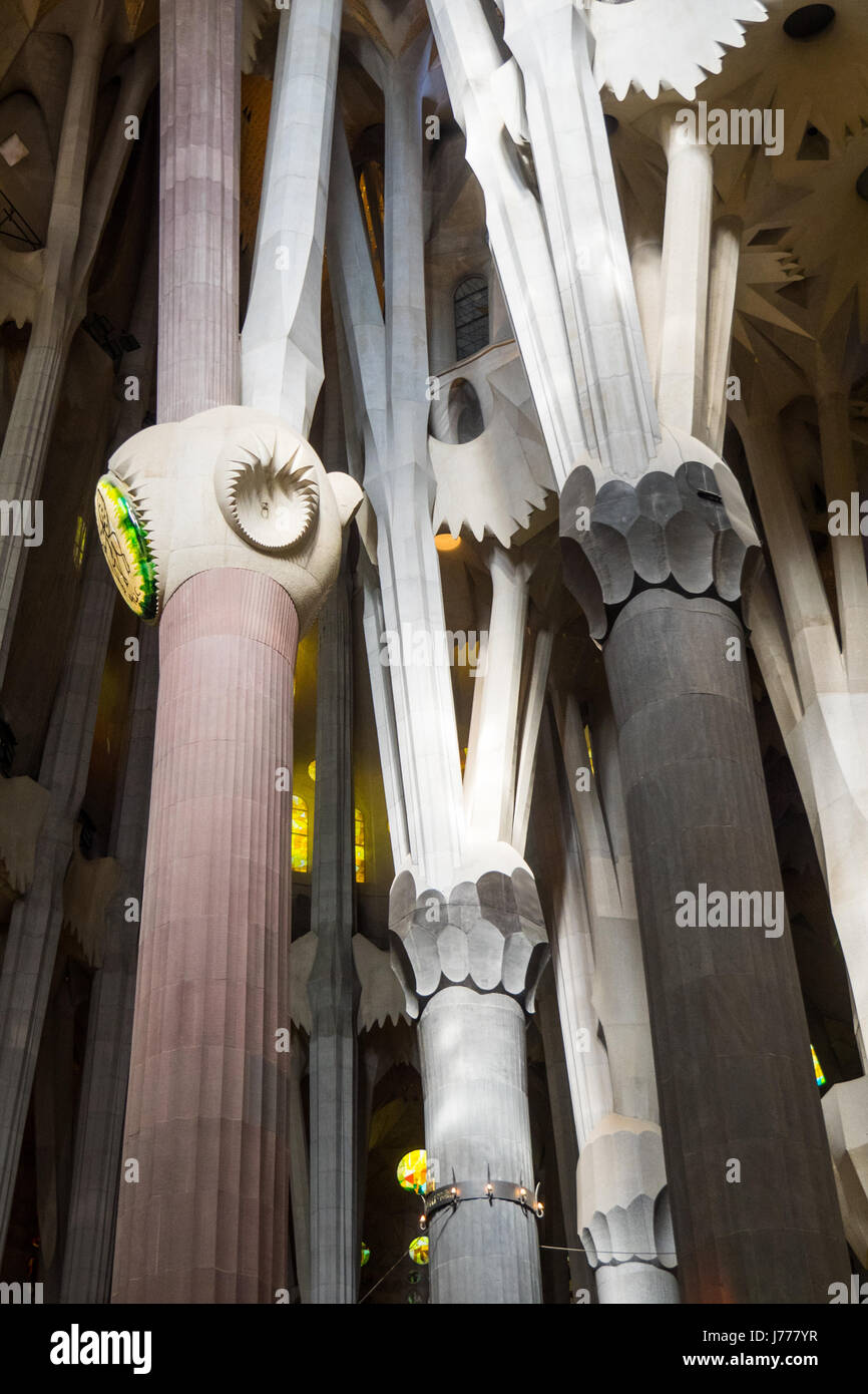 Elaborate and decorative tree like columns and ellipsoids in Gaudi's ...