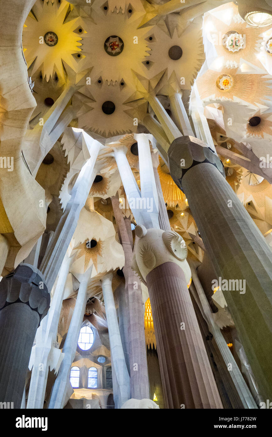Elaborate and decorative tree like columns and ceiling in Gaudi's ...