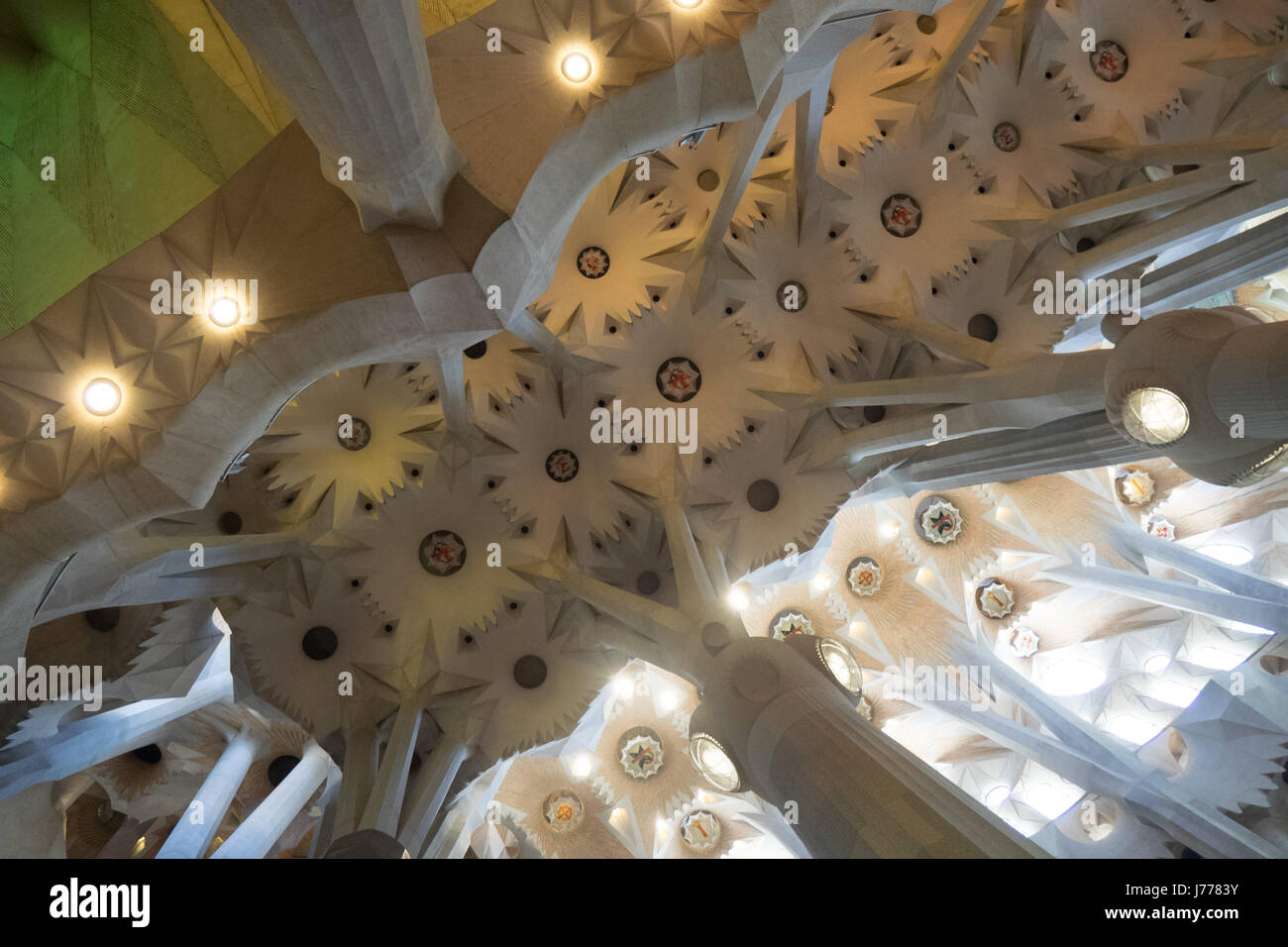 Elaborate and decorative tree like columns and ceiling in Gaudi's ...
